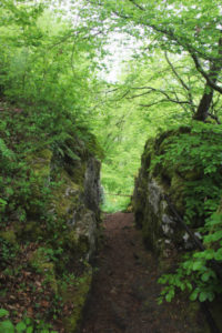 Un long week-end en Ardenne belge - Autour des Hauts